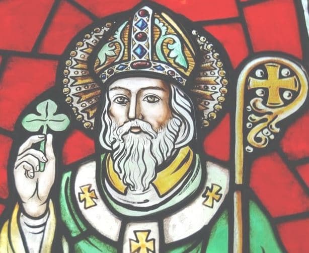 What is The Story of The Irish Shamrock? — History Alive Today